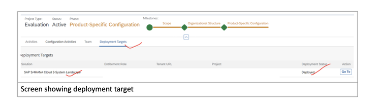 Configure SAP Public Cloud with Central Business Configuration