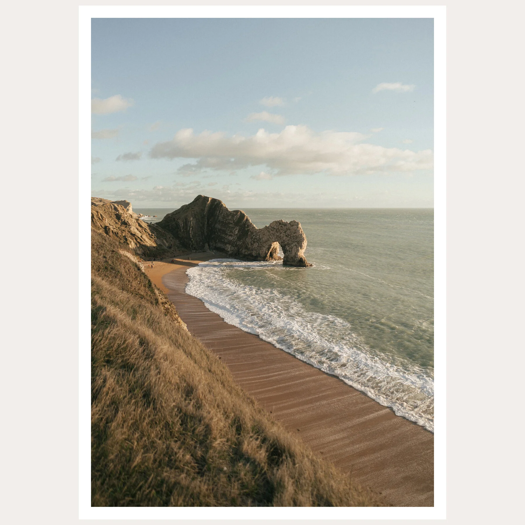 Tidal Pool / coastal pencil drawing print — SAM SCALES | Illustration ...