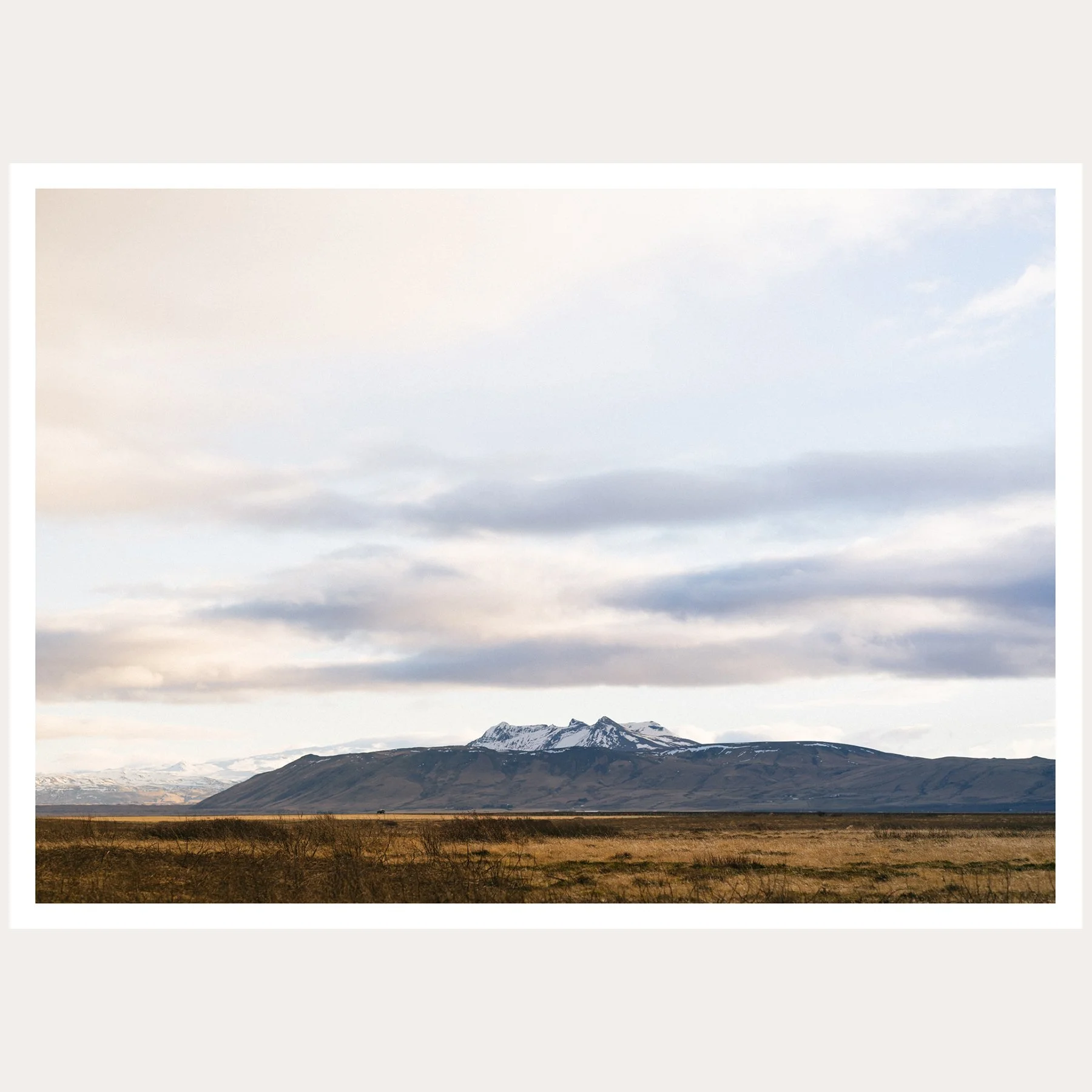 Adapt / Limited Edition Print — SAM SCALES | Illustration & Photography ...