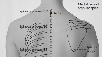 Healing at Home: Acupressure to boost immunity — Synergy Acupuncture ...