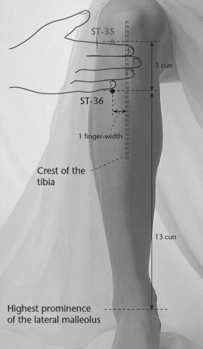 Healing at Home: Acupressure to boost immunity — Synergy Acupuncture ...