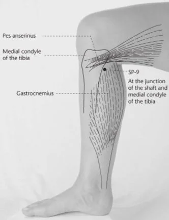 Healing from Home: Points for Cold and Flu — Synergy Acupuncture & Wellness