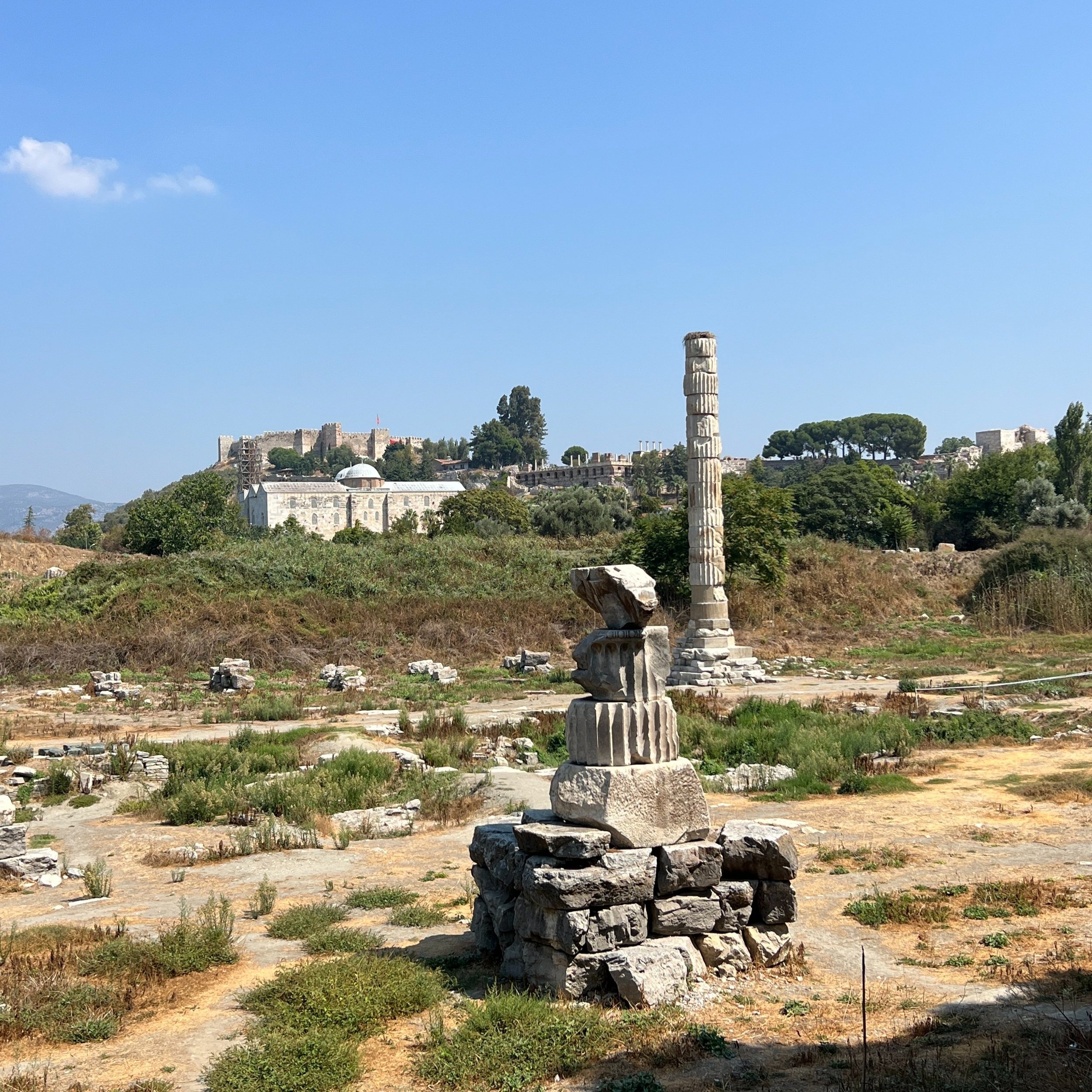 Temple Of Artemis Now