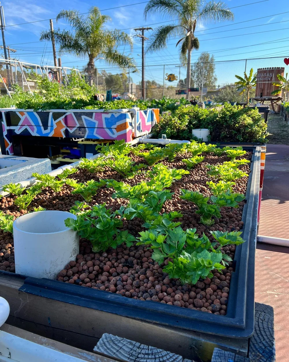 Abraxas Garden & Kitchen