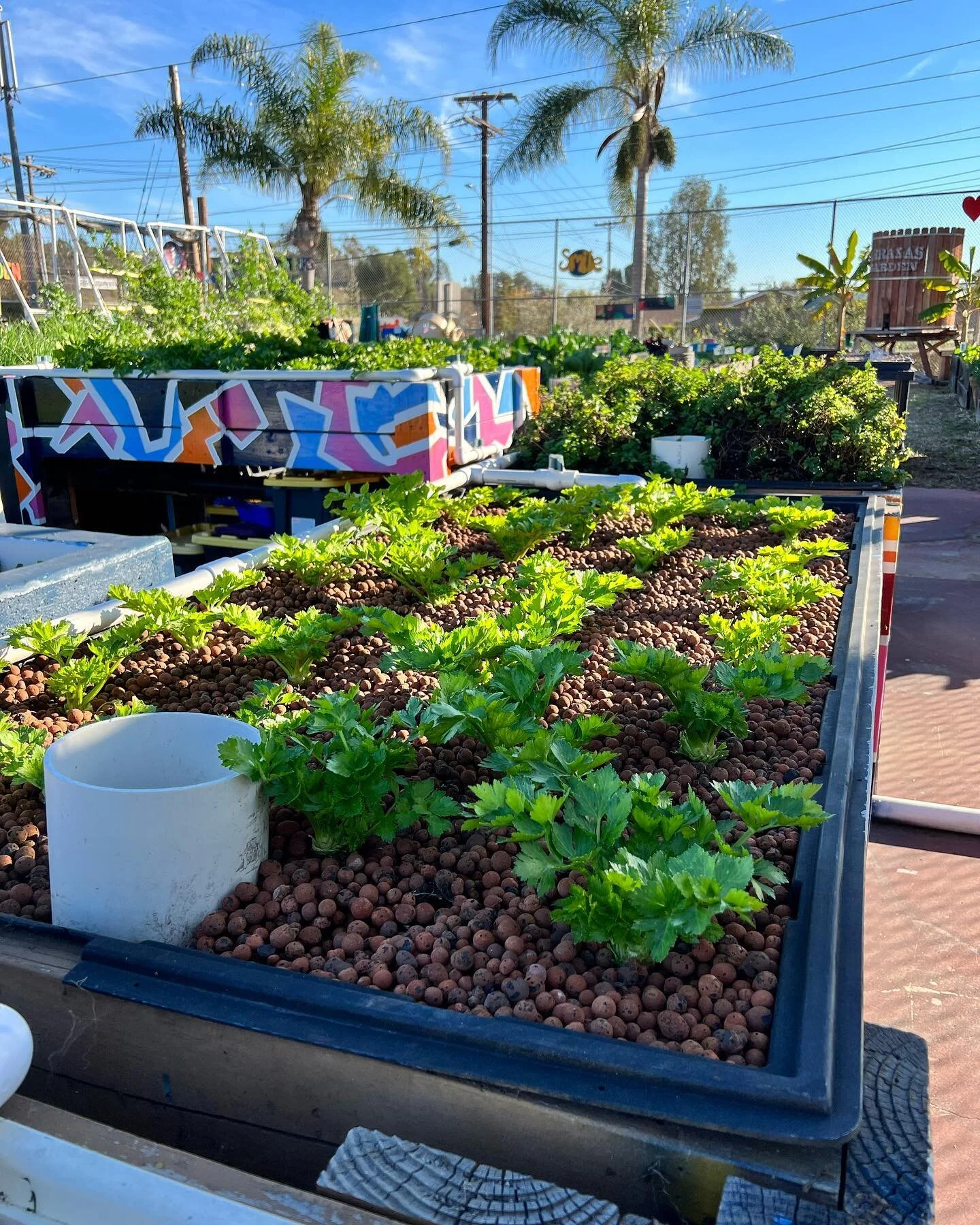 Abraxas Garden & Kitchen