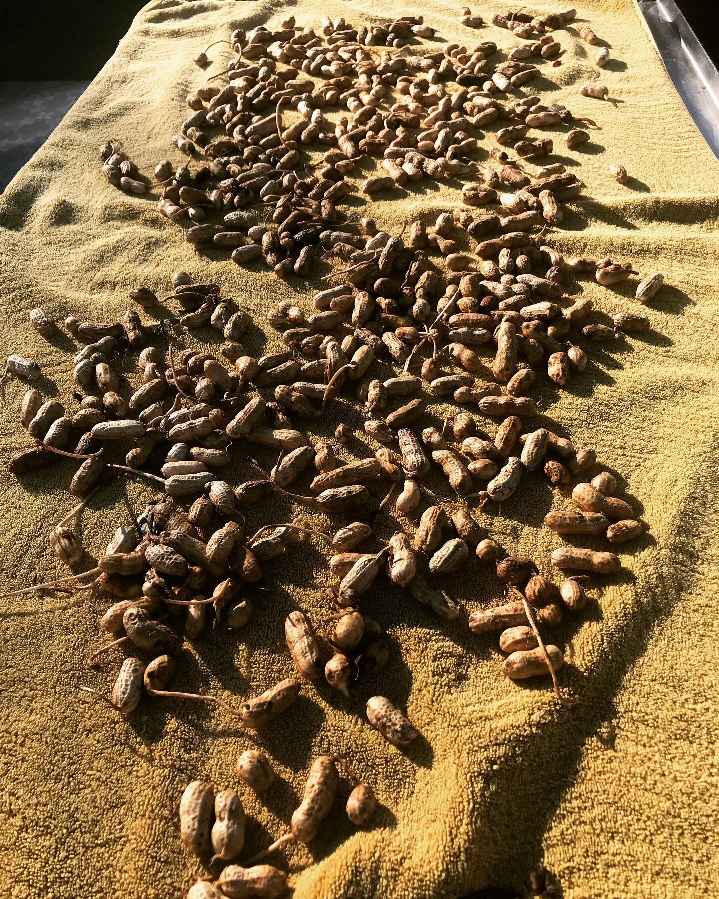 Abraxas Garden & Kitchen