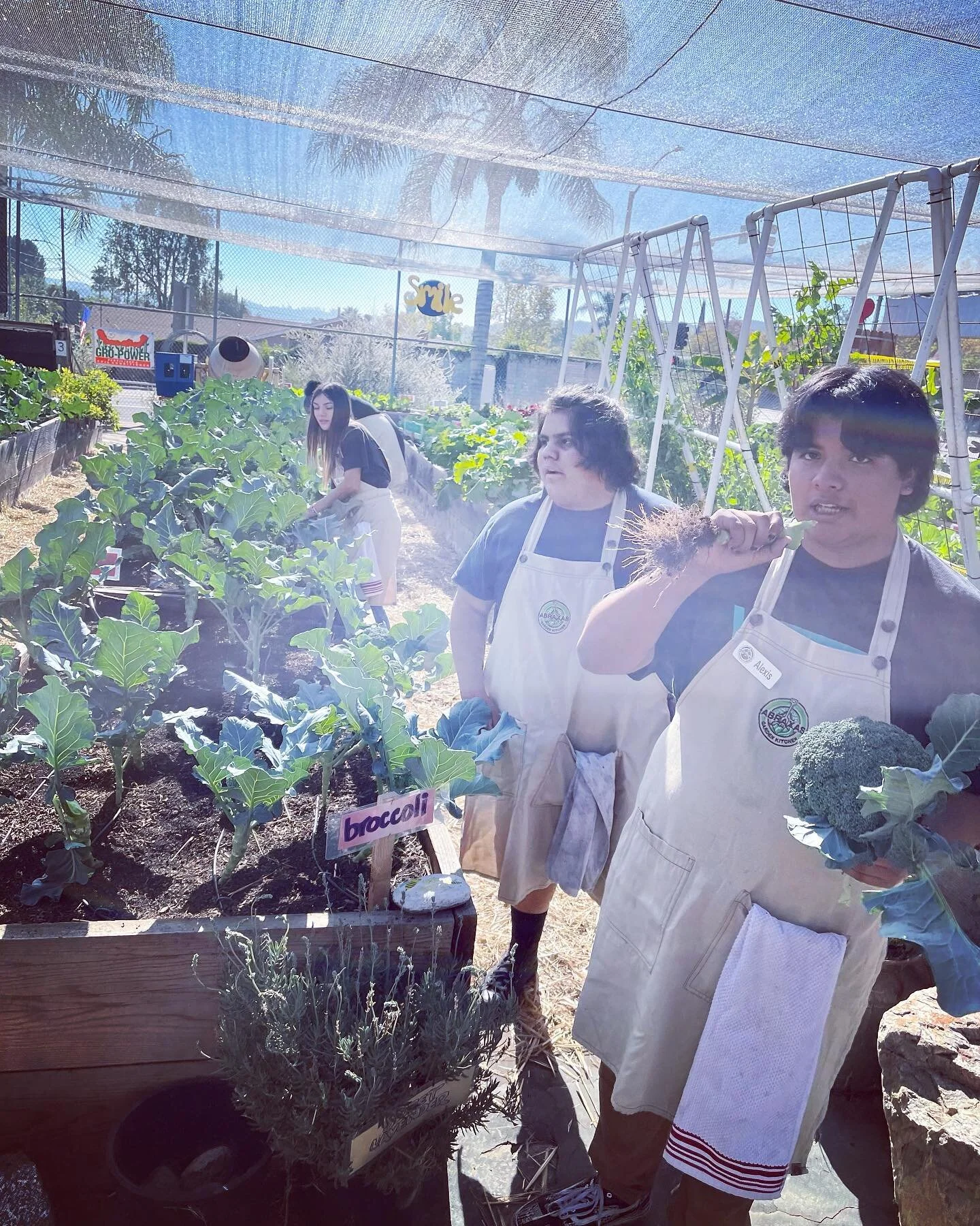 Abraxas Garden & Kitchen