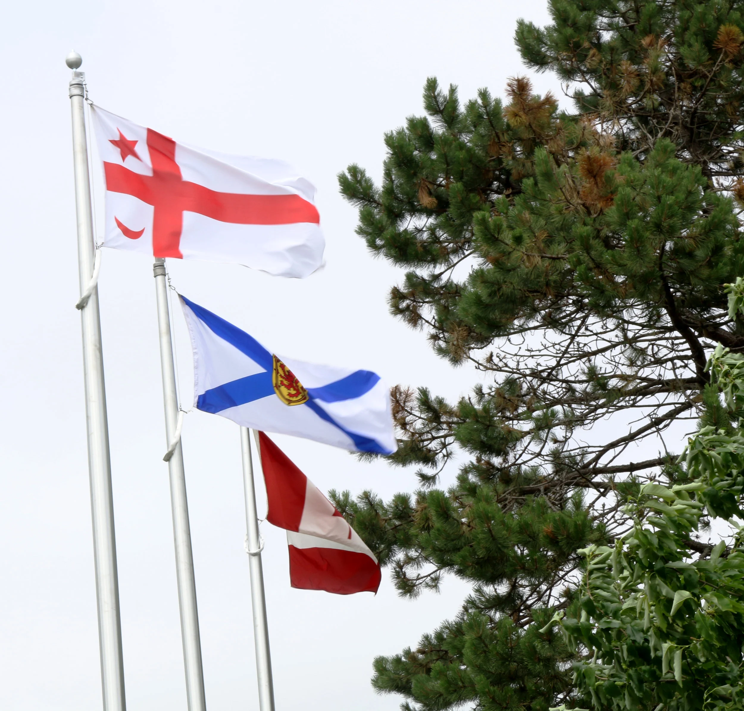 Mi’kmaq Grand Council flag permanently installed at Saint Mary’s | SMU ...