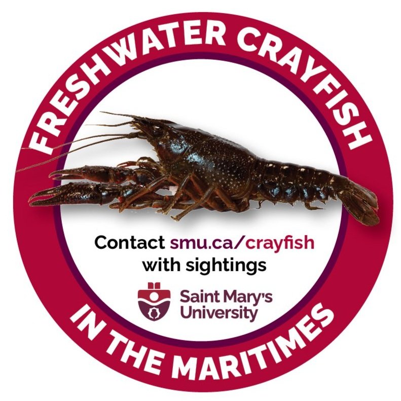 Student researcher has found 100—and counting—invasive crayfish in ...