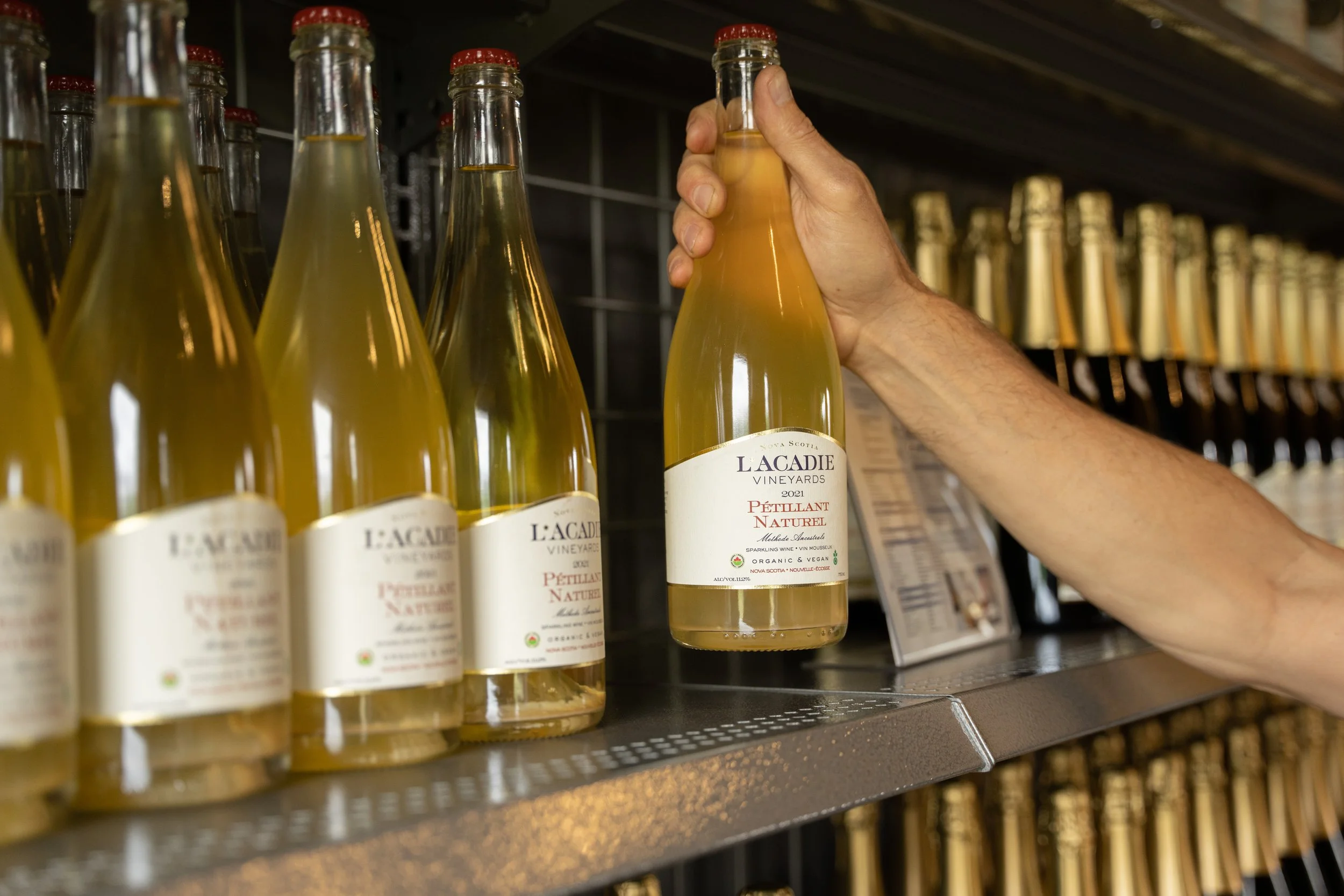 Researching microbial-terroir and its impacts on wine flavour | SMU ...