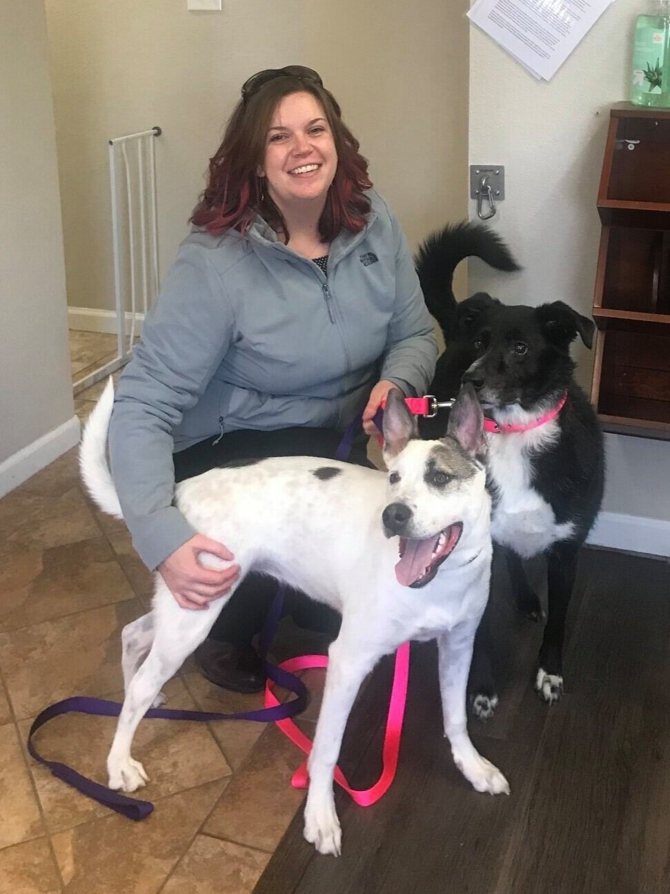 Board of Directors — Black Dog Animal Rescue