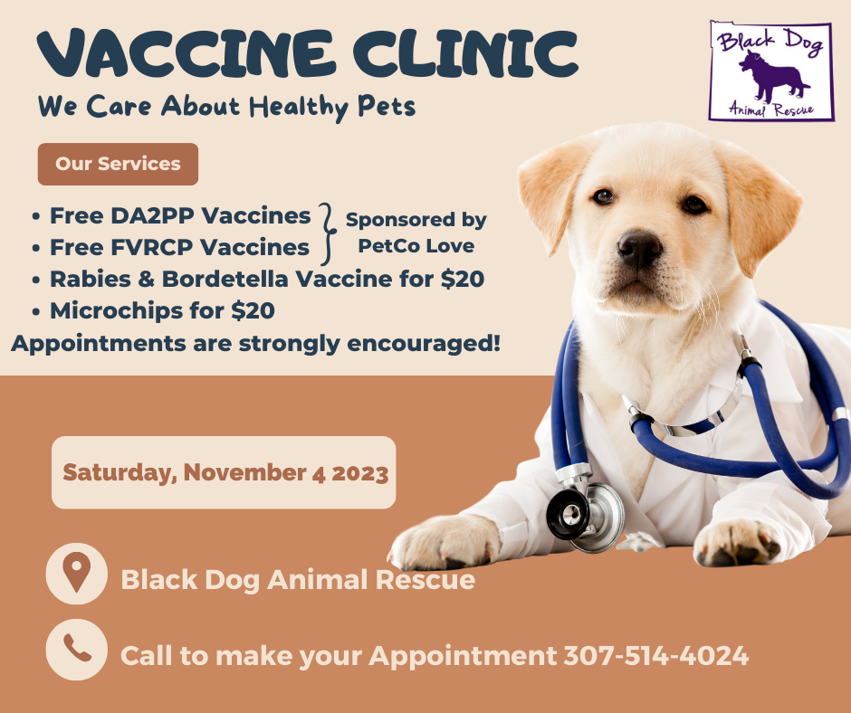 Community Vaccine Clinic — Black Dog Animal Rescue
