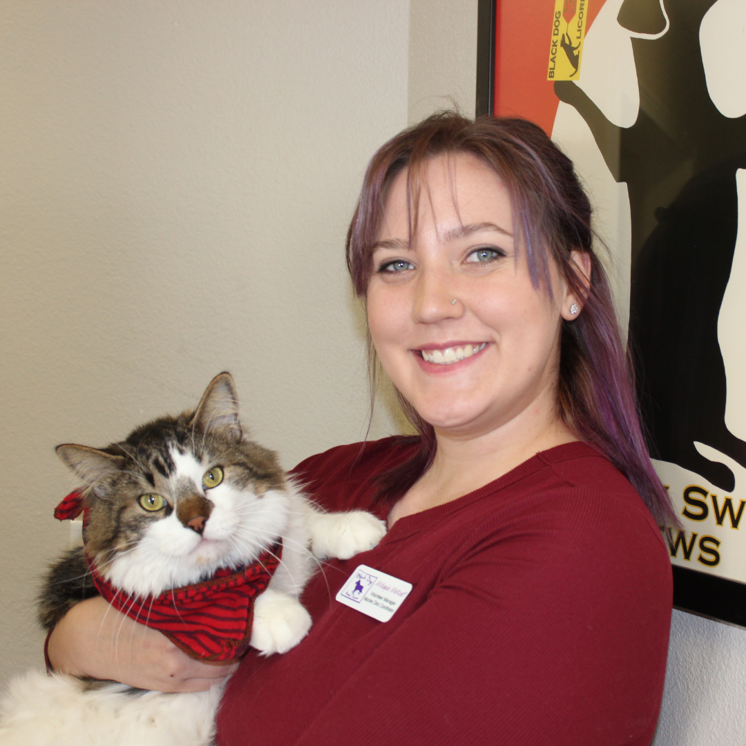 Staff — Black Dog Animal Rescue