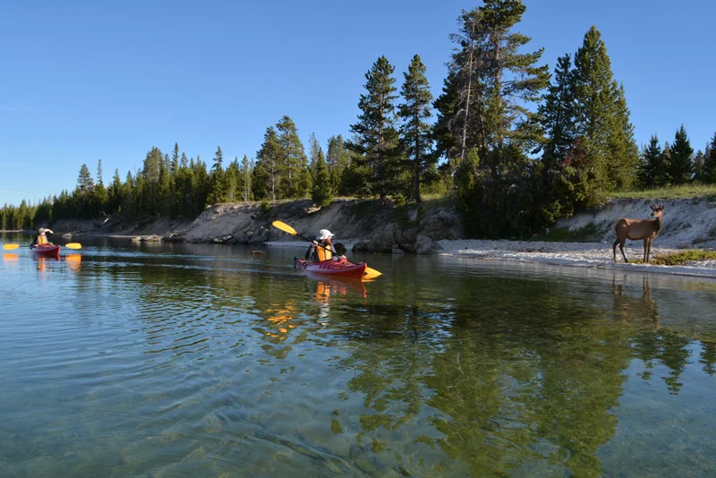 Yellowstone Kayaking and Hiking Tours Shurr Adventures