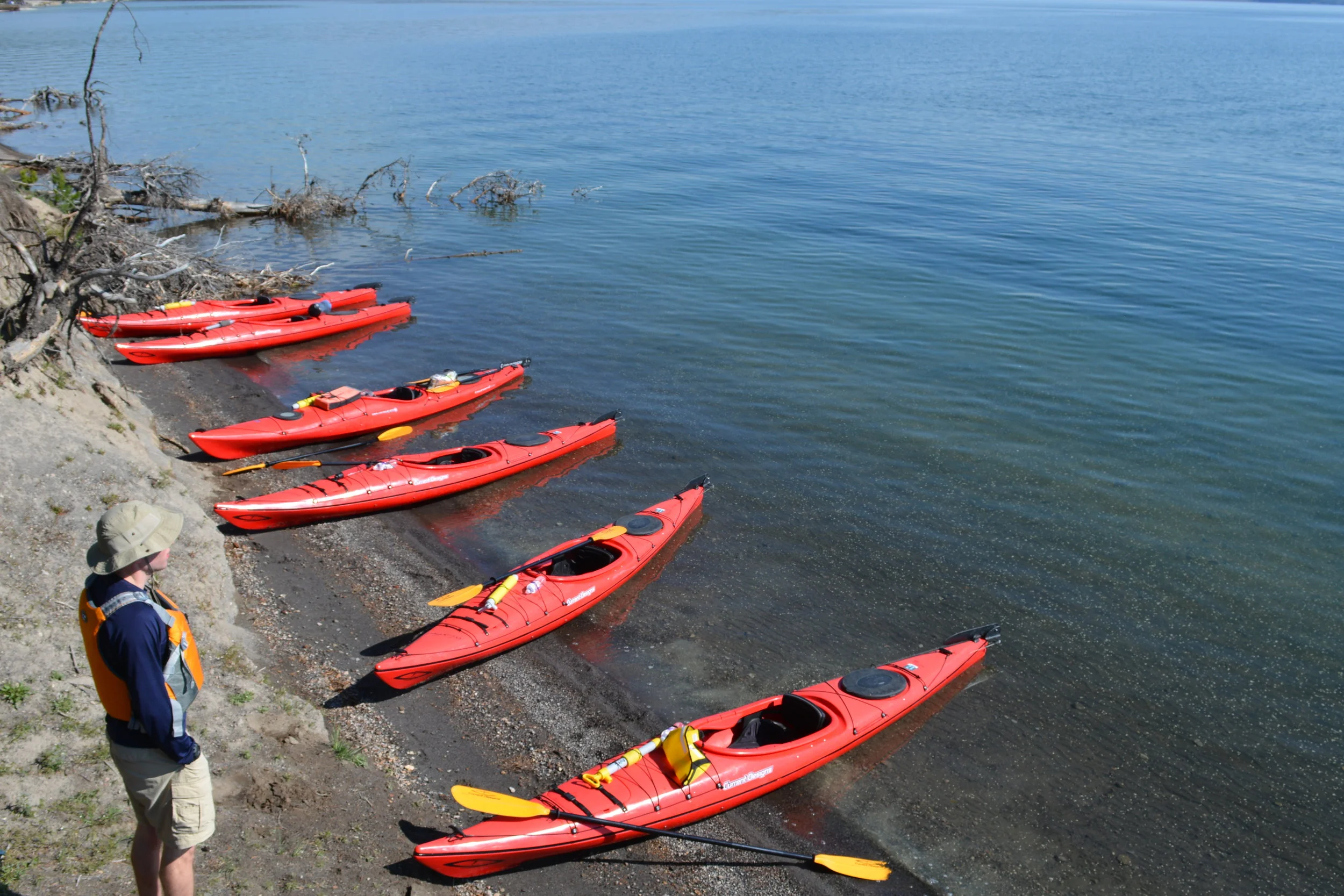 Yellowstone Kayaking and Hiking Tours Shurr Adventures