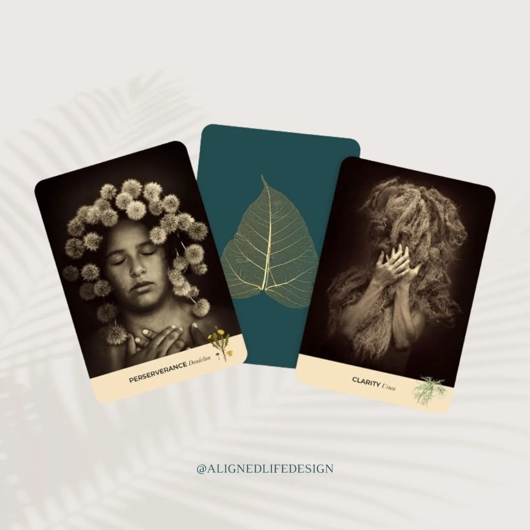 Portfolio — Aligned Life Design