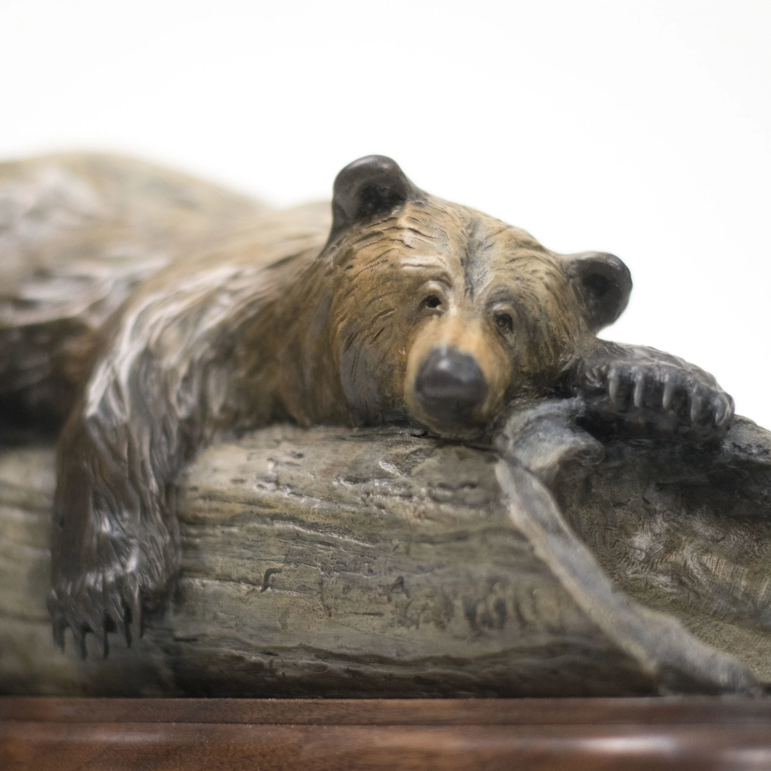 Lazy Bear — Bear Country Gallery