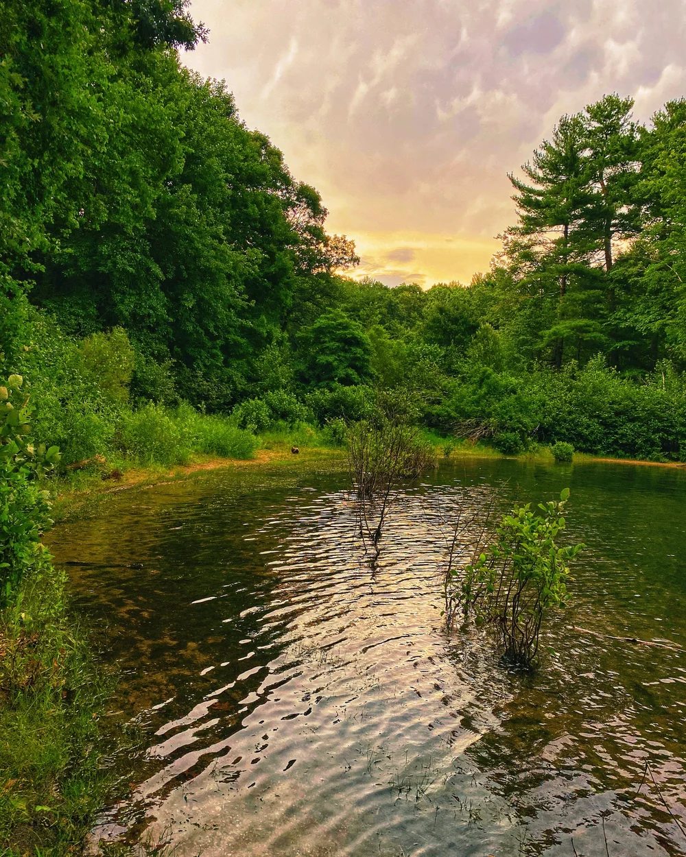 From Rev. Jenny — The First Church in Salem