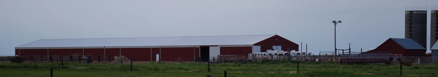 Perry Quarter Horses