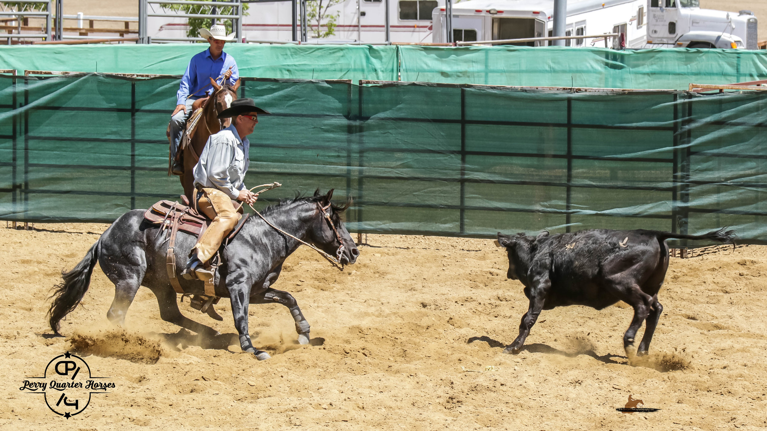 Perry Quarter Horses