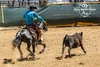 Perry Quarter Horses
