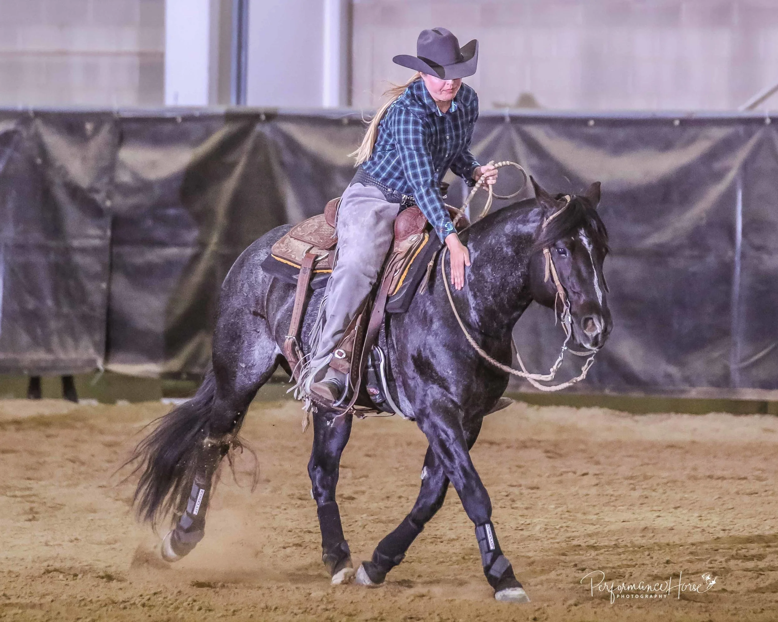 Perry Quarter Horses