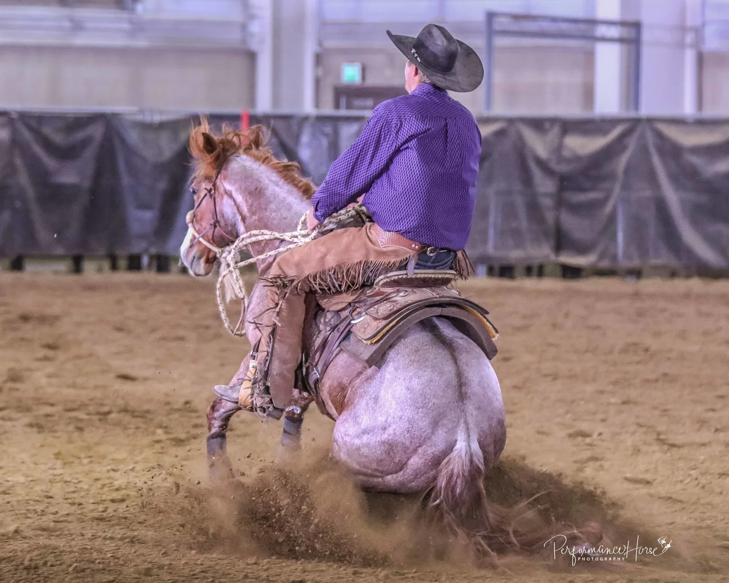 Perry Quarter Horses