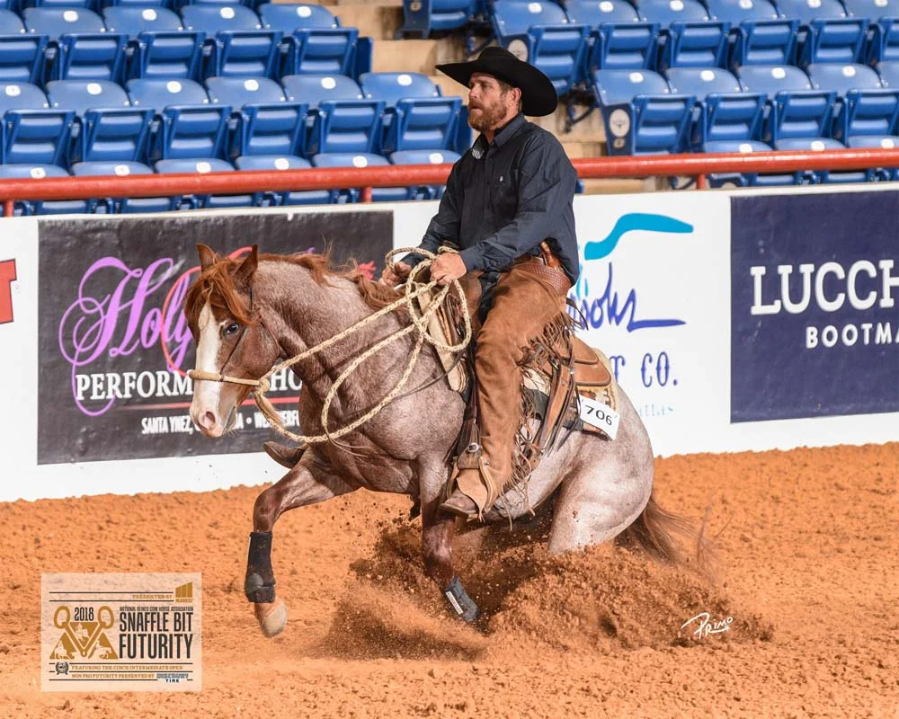 Perry Quarter Horses