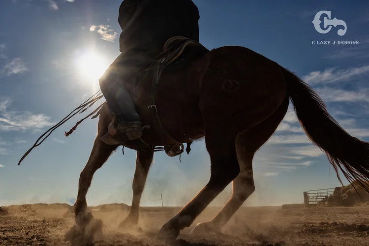 Perry Quarter Horses