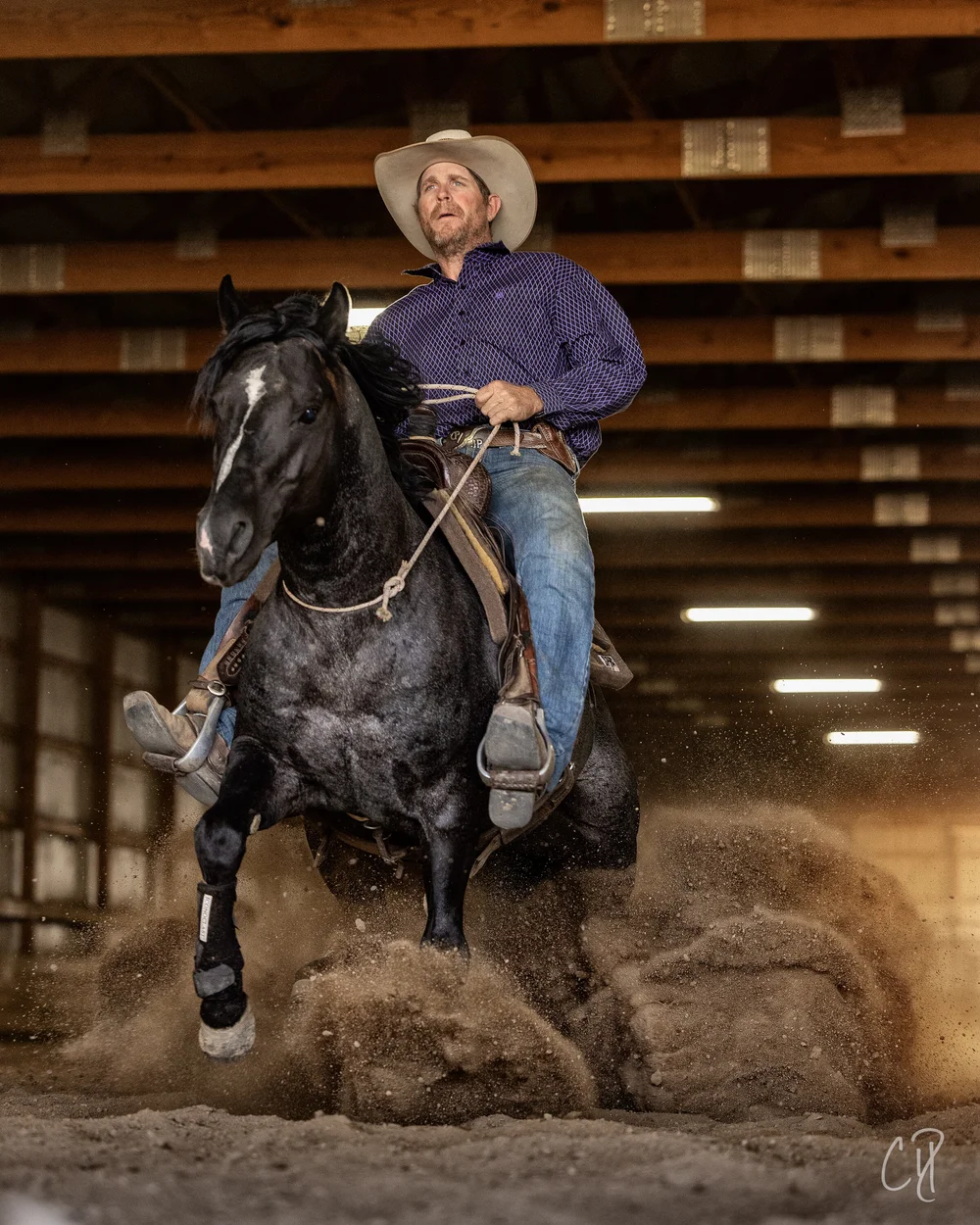 Perry Quarter Horses