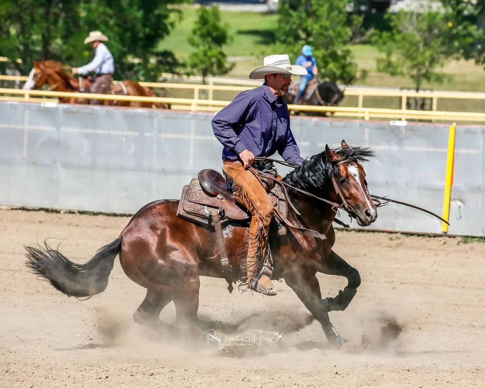 Spook N Boon — Perry Quarter Horses