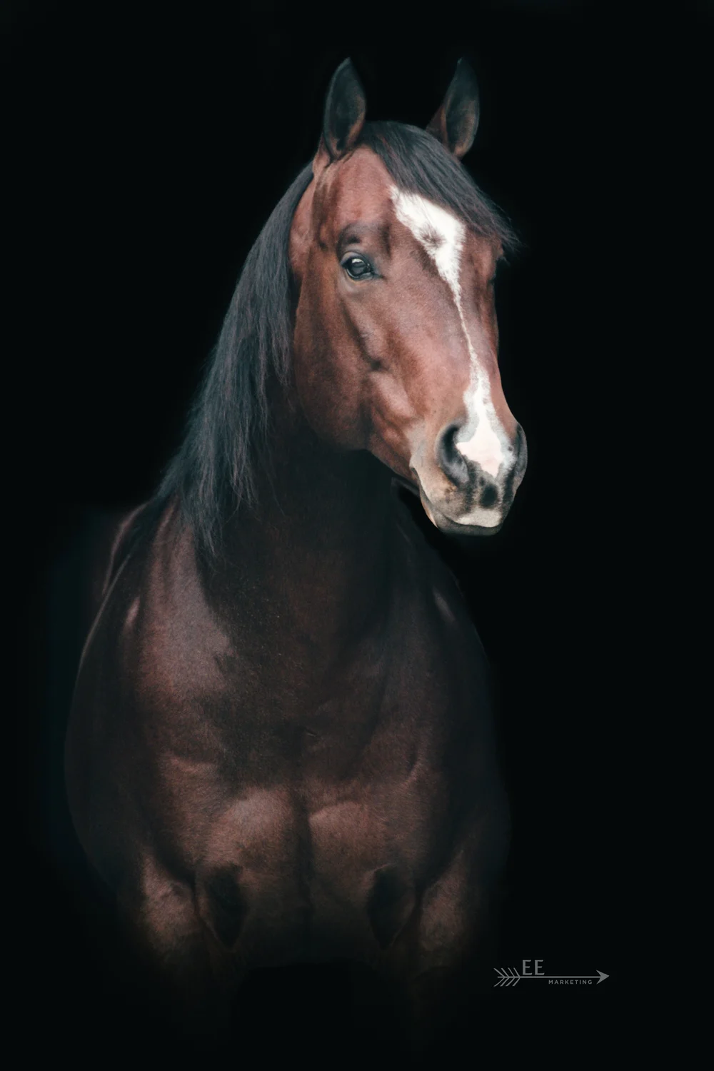 Spook N Boon — Perry Quarter Horses