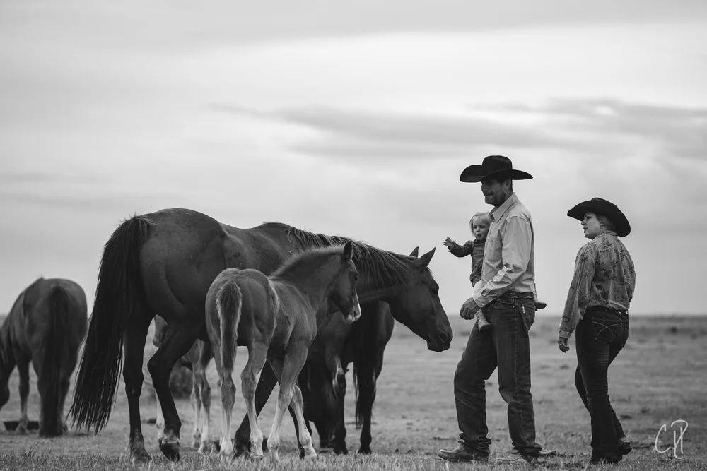 Perry Quarter Horses