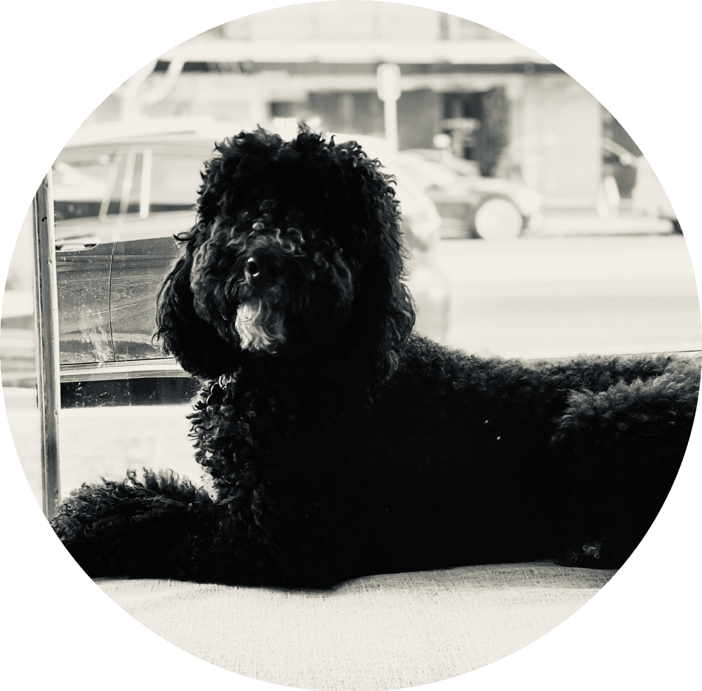 Team — Ask Planning Services