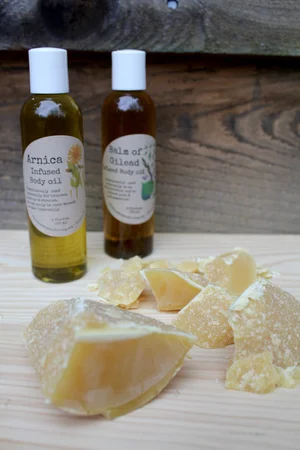 Herbal Salves — Wildness Within