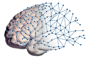 Why You're Not Able to Squat Below Parallel...and What to Do About It ...