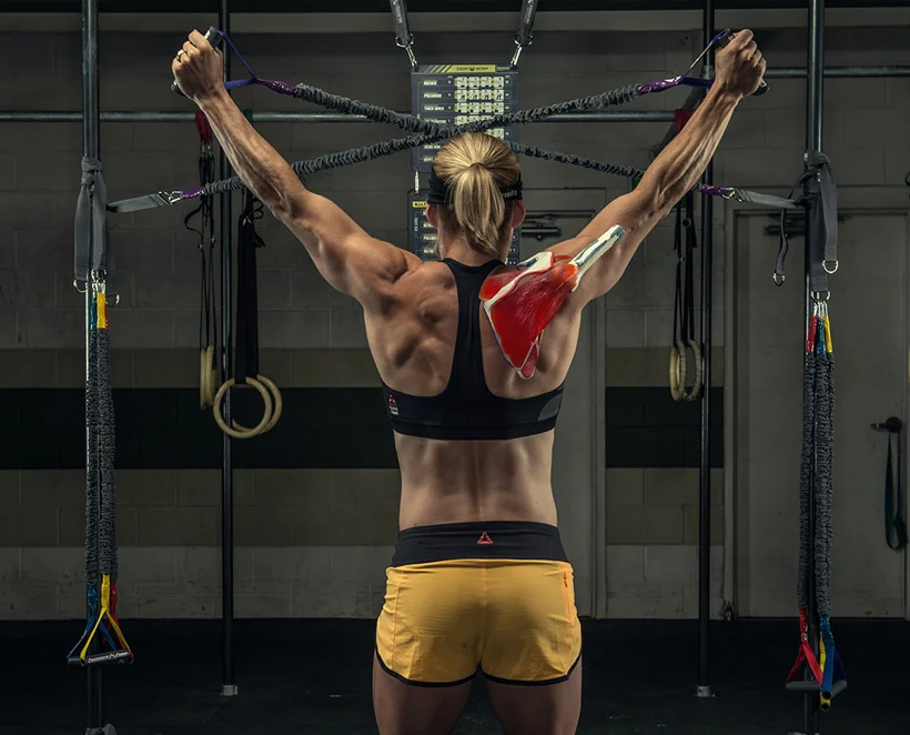 Simplifying Treatment of the CrossFit Shoulder PART I: Symptom ...