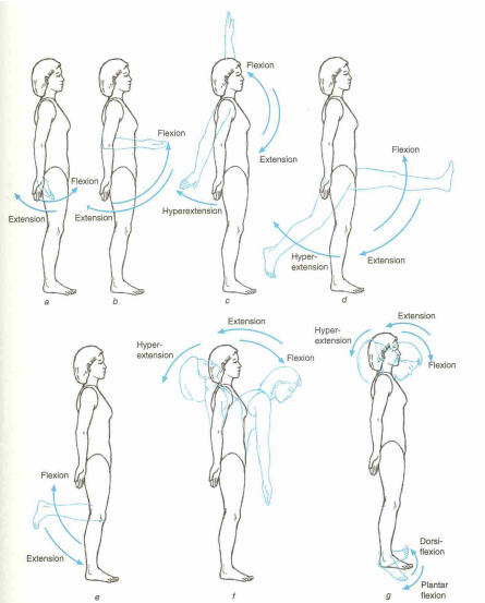 Planes of Motion — Arrow Physical Therapy Seattle