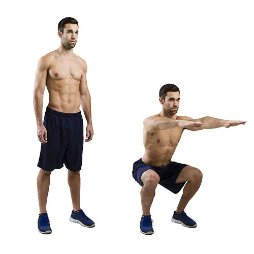 rotation — BLOG & articles — Arrow Physical Therapy Seattle