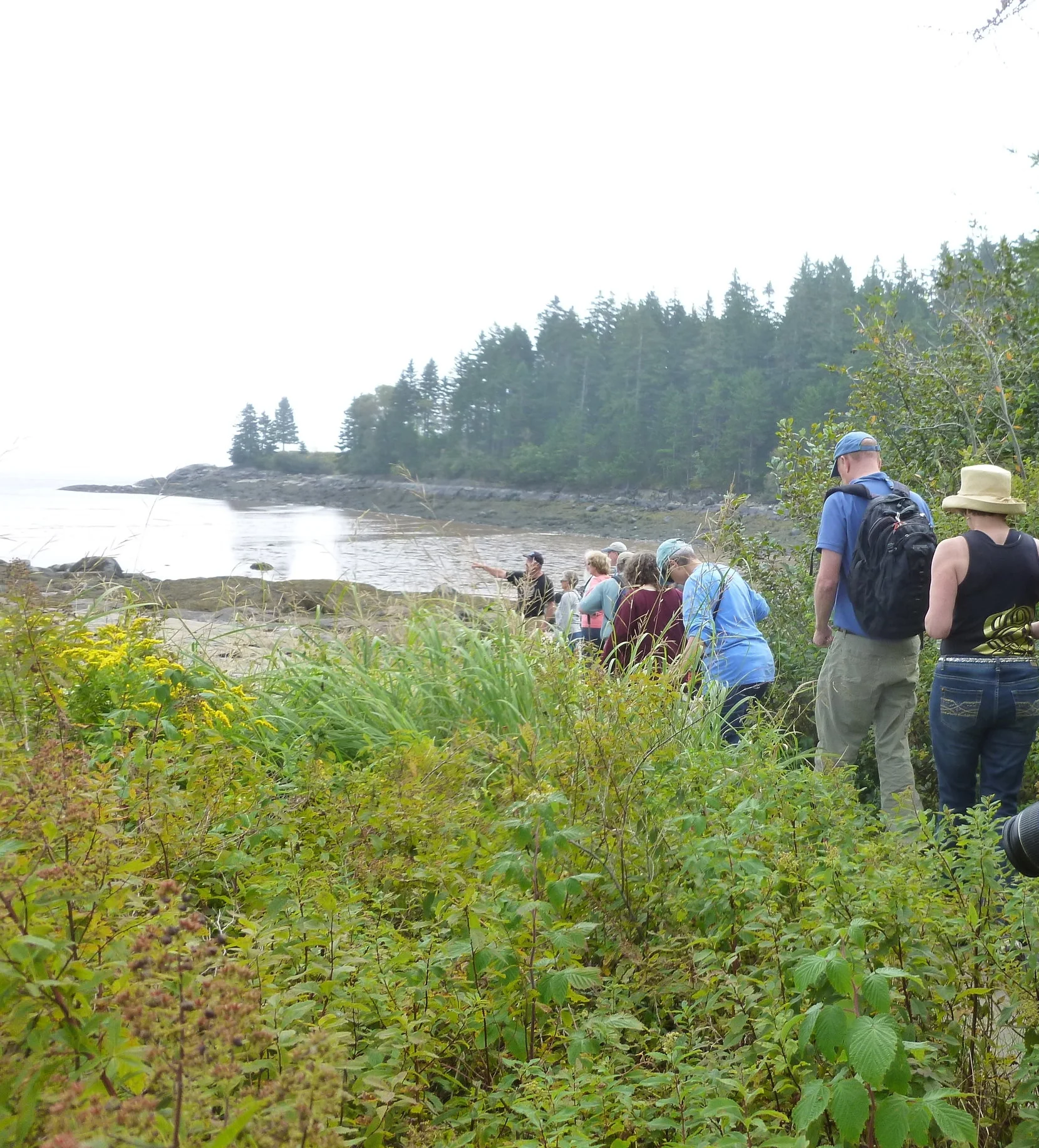 Board & Council — Abbe Museum