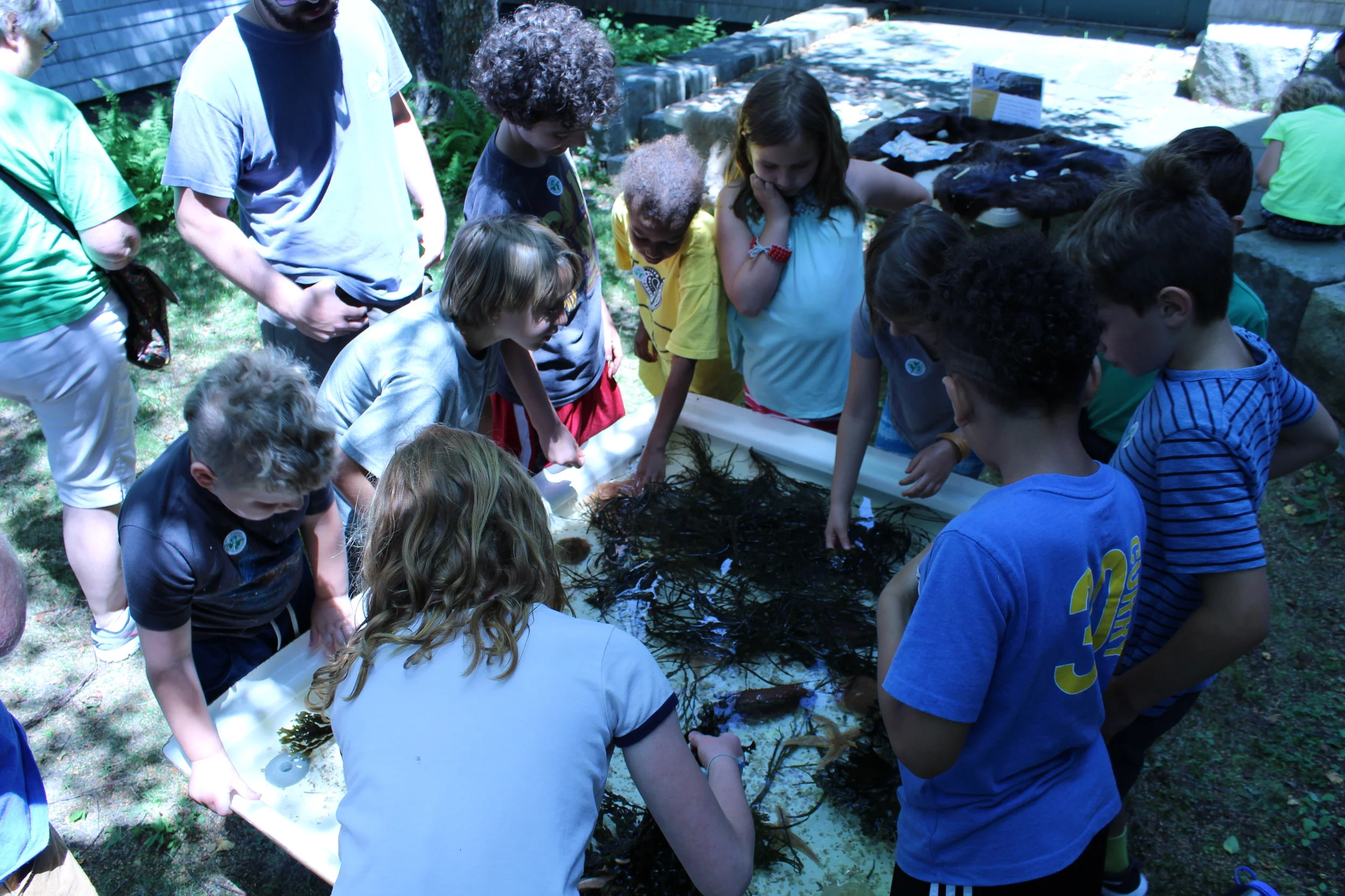 Abbe Museum to Host First-Ever Kid’s Summer Camp — Abbe Museum