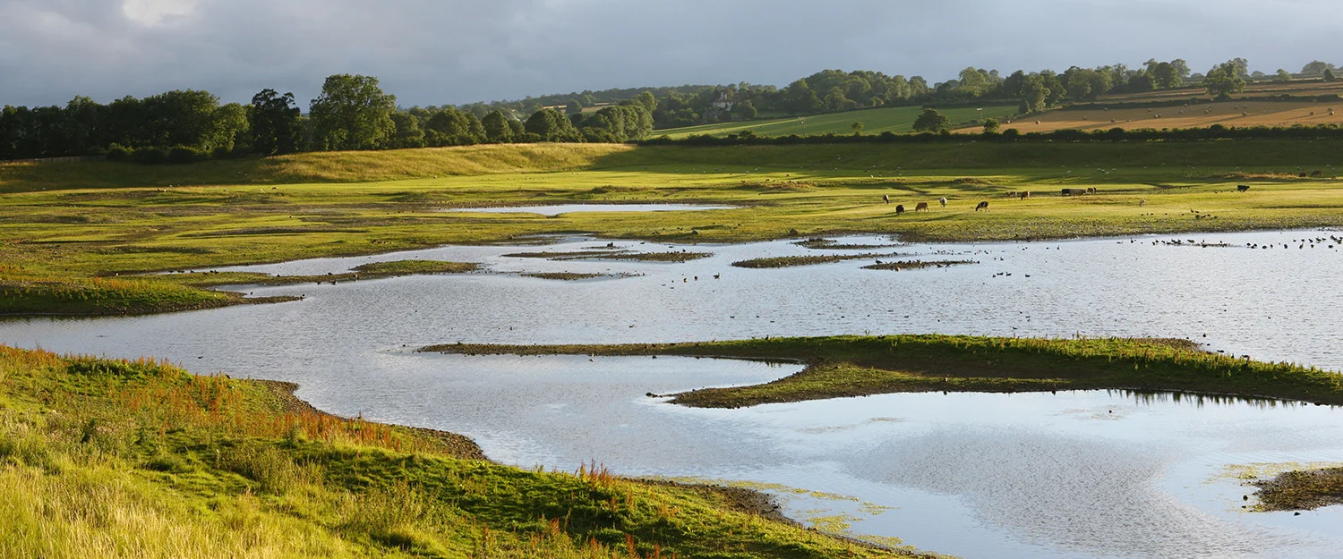 Nosterfield Nature Reserve — The Lower Ure Conservation Trust