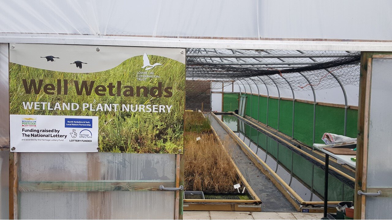 Well Wetlands — The Lower Ure Conservation Trust