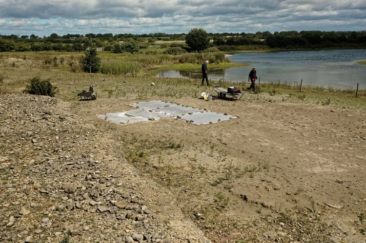 Well Wetlands — The Lower Ure Conservation Trust