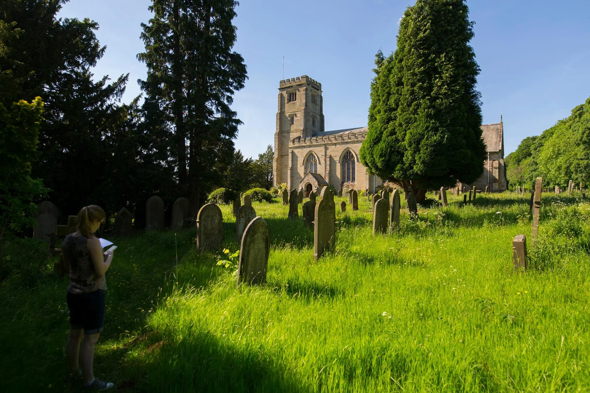 Churches Count on Nature week at St John's Churchyard — The Lower Ure ...