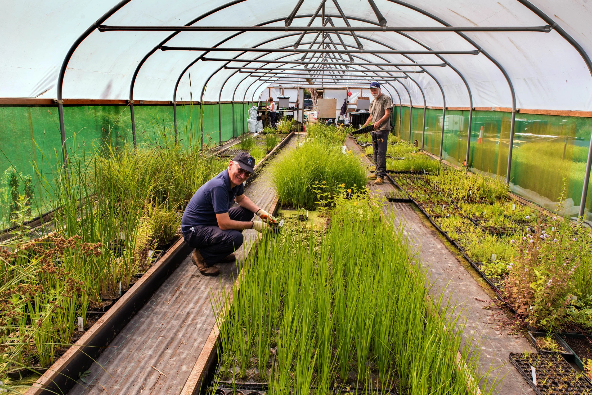 Events — The Lower Ure Conservation Trust