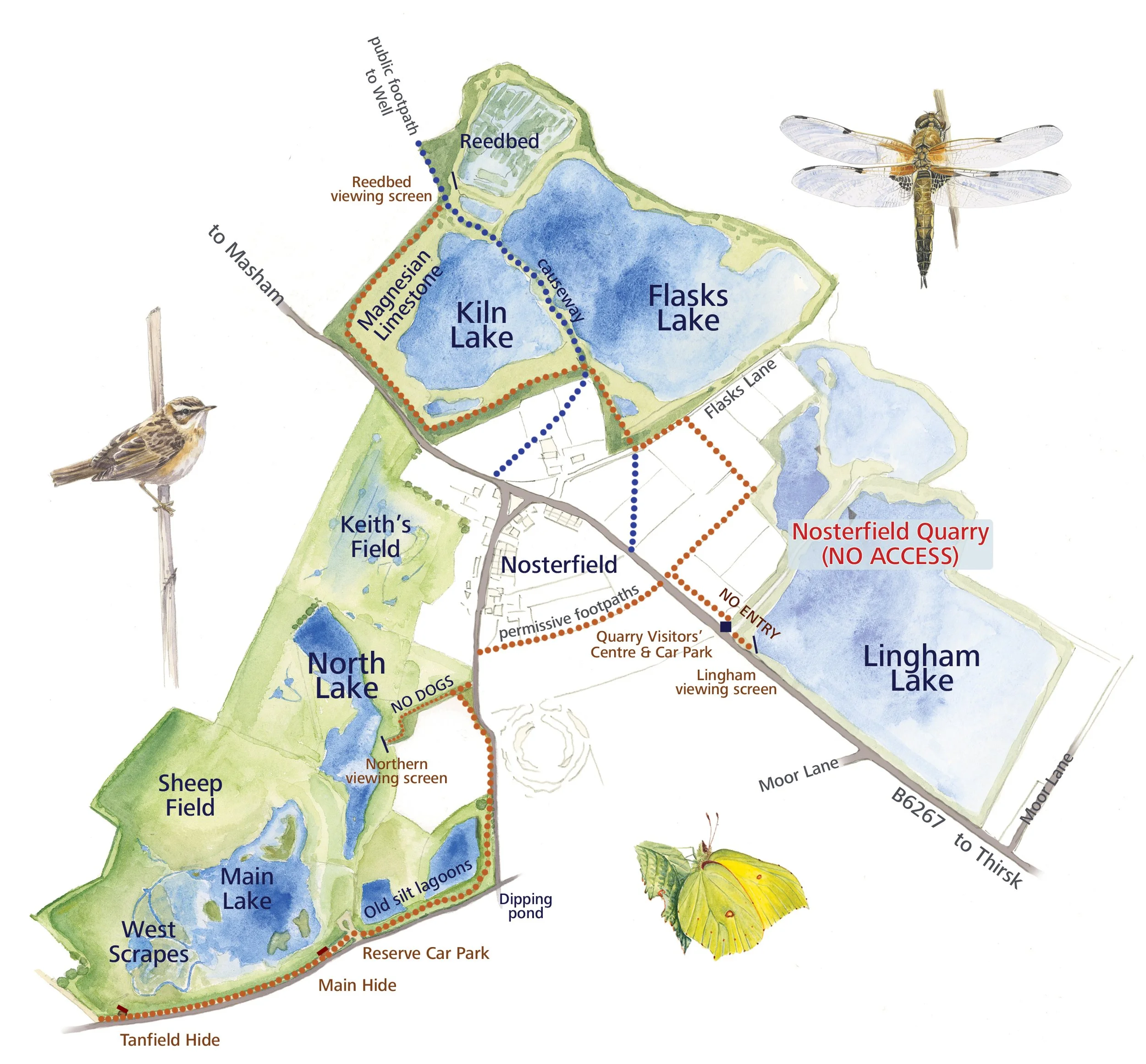 Nosterfield Nature Reserve Dawn Chorus Walk — The Lower Ure ...
