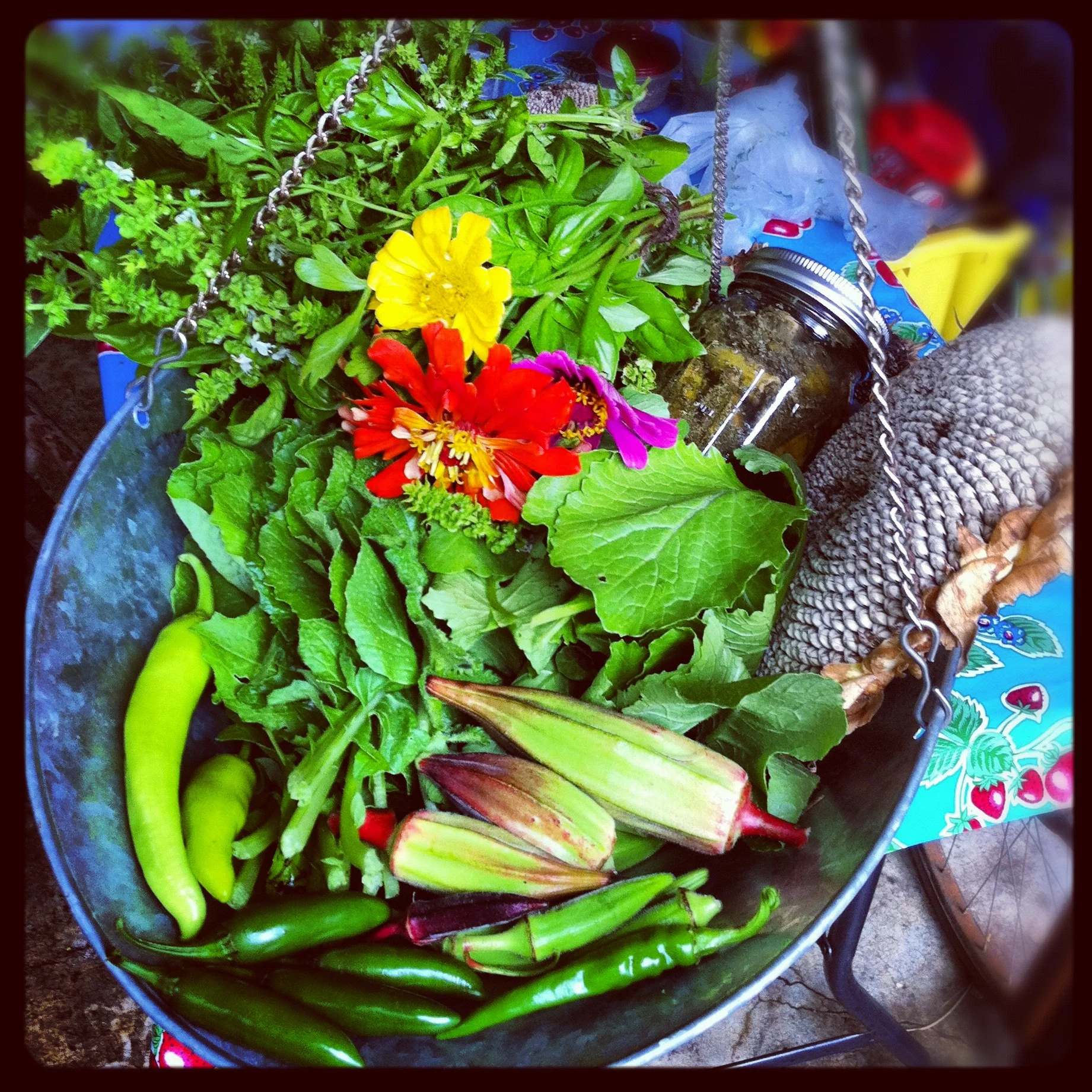 Produce a la carte — Bountiful Harvest Farms