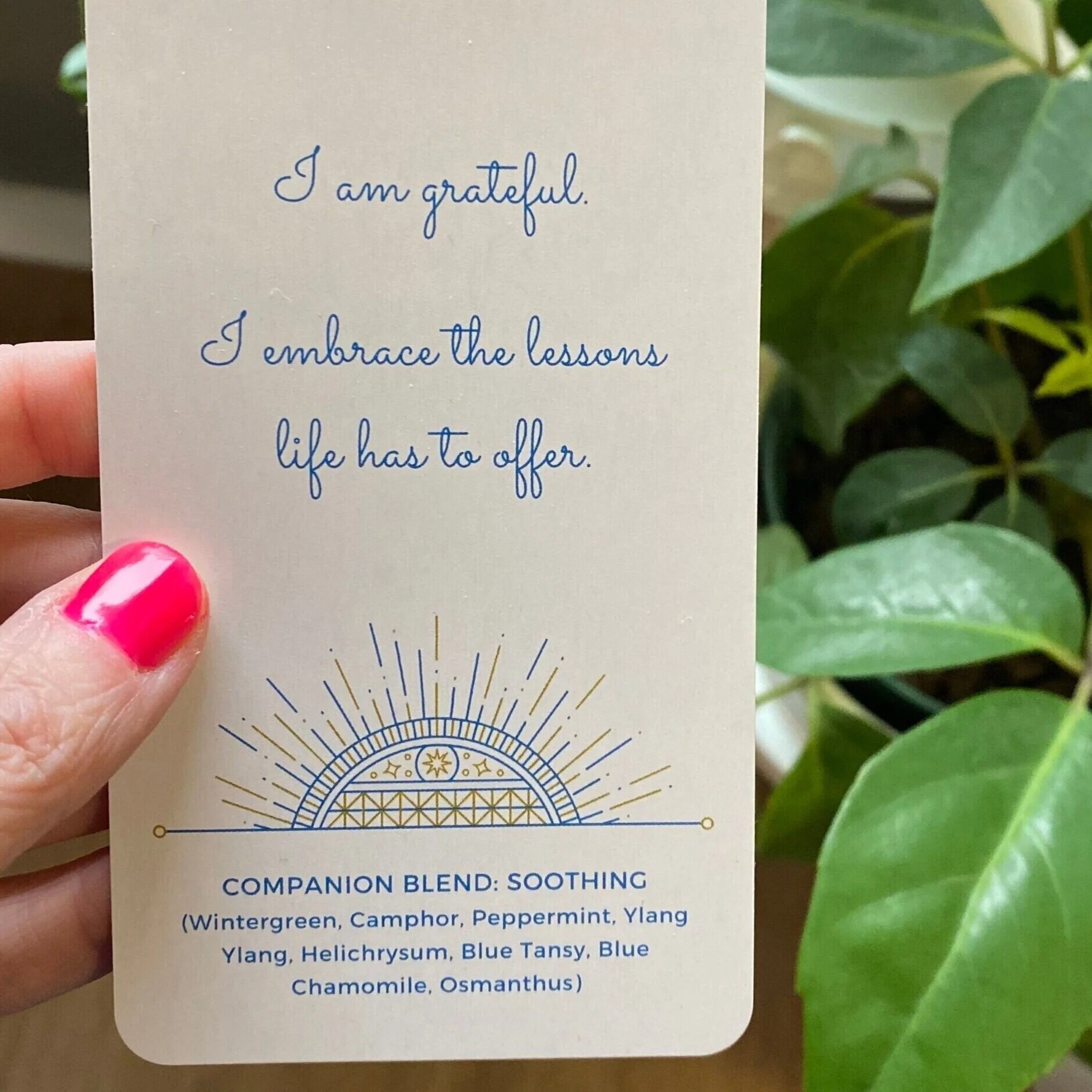 Create Your Own Affirmation Cards In Impact On Deck With Chantelle 