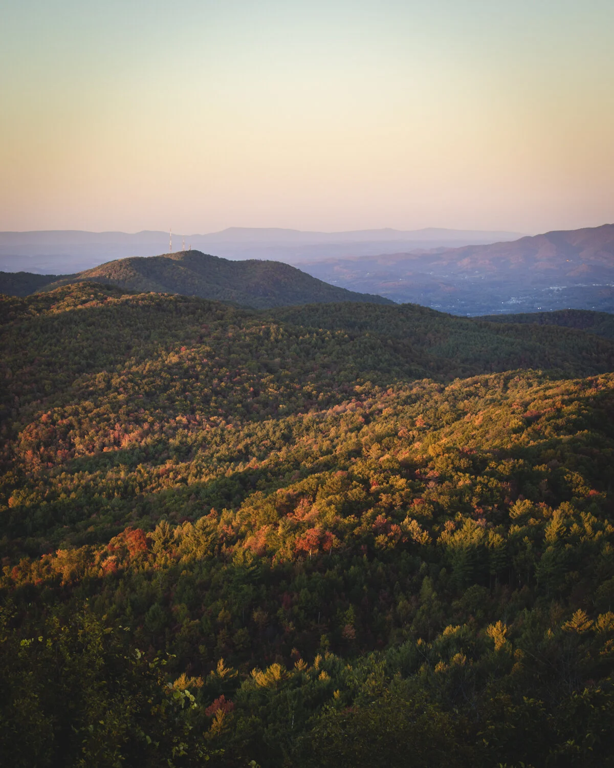 📸 | Robert King Photography